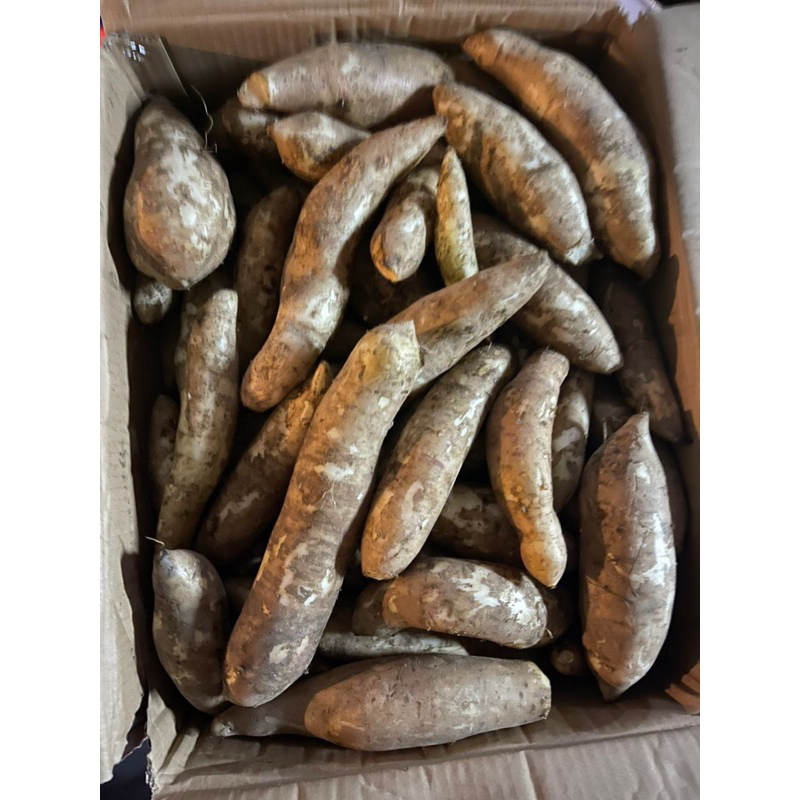 Yacon Original Cameron(1kg+-/pack) | Shopee Malaysia