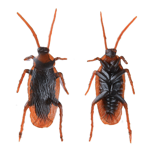 MSIA Ready Stock/ Fake Cockroach 5 PCs Fool's Day Toys Realistic Tricky ...
