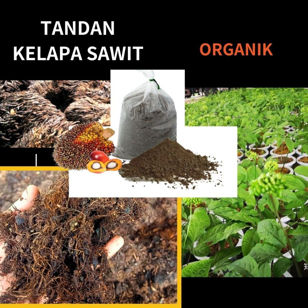 Tanah Sawit Mendapan Organik Organic Soil Tanah Tanaman Pokok Bunga ...