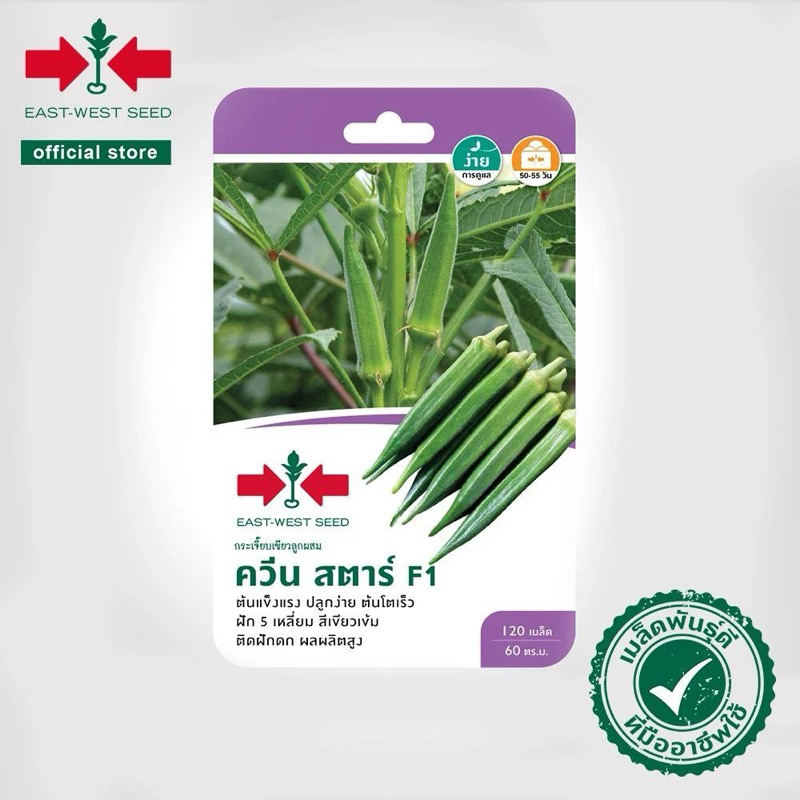 120 Biji Benih Bendi Hibrid F1 / Bintang Ratu F1 / East West Seed / Cap ...