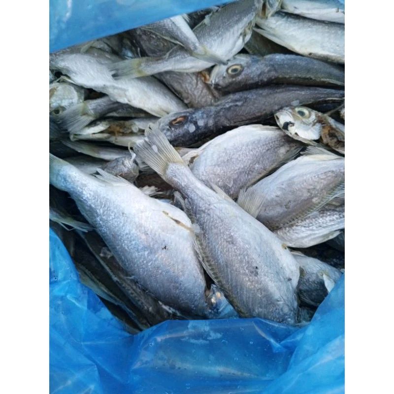 ikan gelama masin@jeruk(400g) | Shopee Malaysia