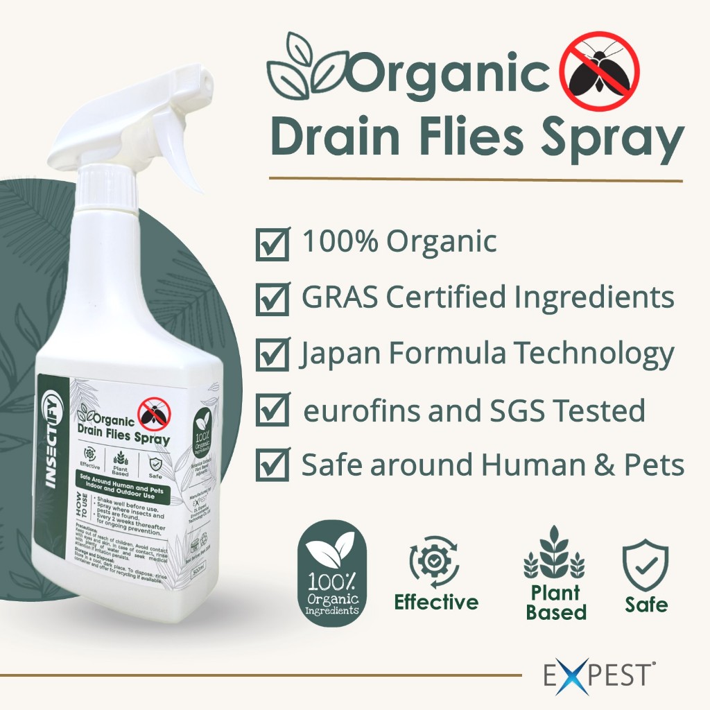 Insectify Organic Drain Flies Spray 500ml [No More Drain Flies ...