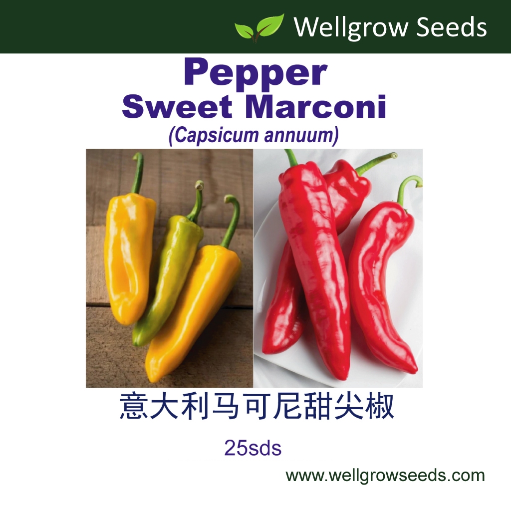 Pepper Sweet Marconi (25sds) 意大利马可尼甜尖椒 Vegetable Seeds Wellgrow Seeds ...