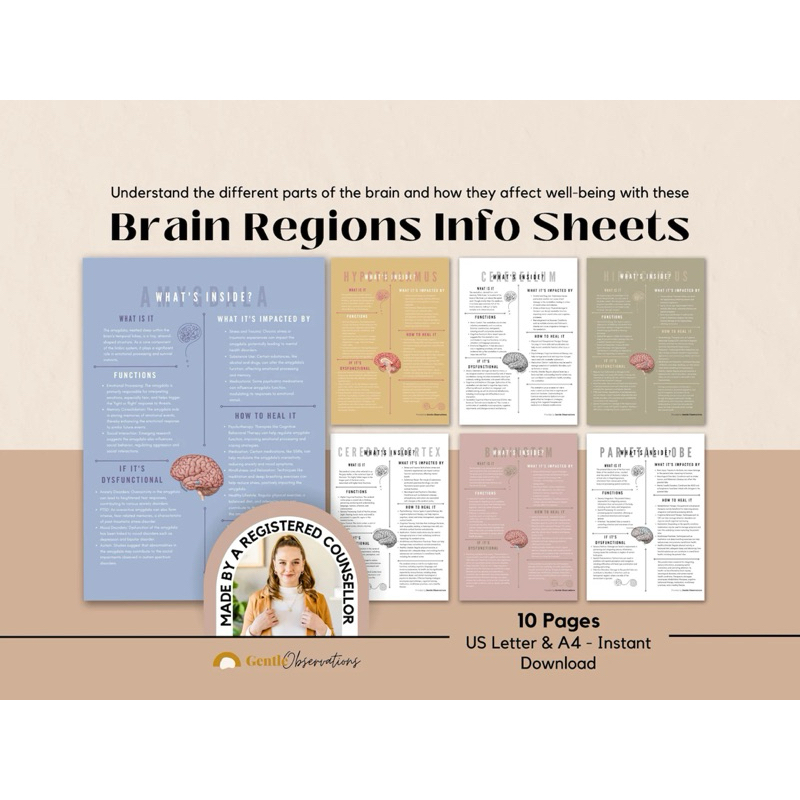 Regions of The Brain Neuroscience Psychoeducation Worksheets for Mental ...