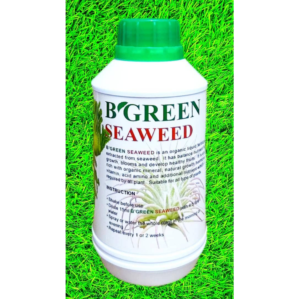 Foliar Bio Green Seaweed (Organic) | Shopee Malaysia