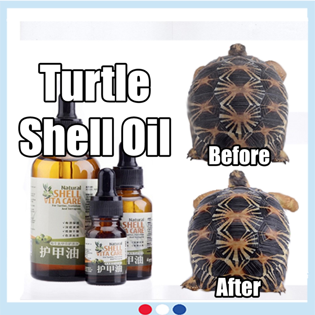 PETSEA Tortoise Turtle Shell Sulcata Tortoise 陆龟 陸龜用品 Tortoise Shell ...