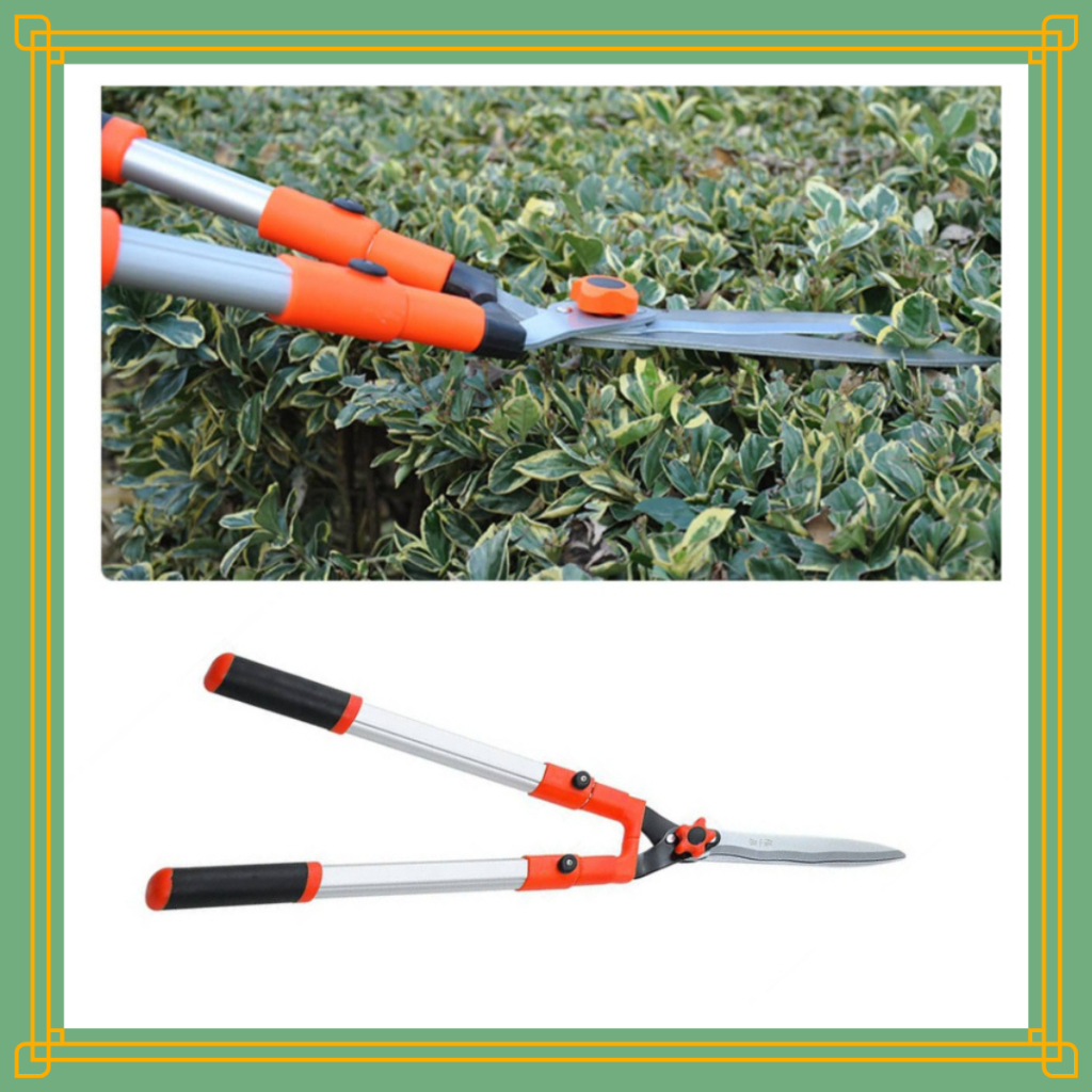 Gunting Rumput/ Adjustable Grass Shear Cutter | Shopee Malaysia