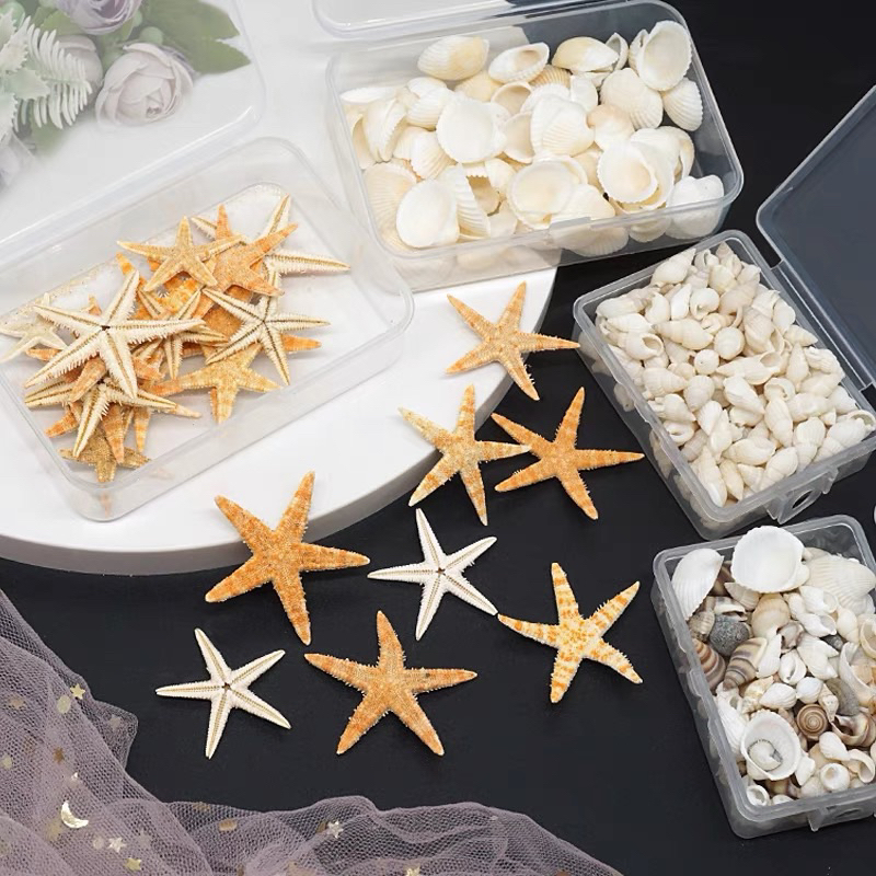 [READY STOCK‼️]Natural Sea Shell DIY Resin Fillings Small Conch Shell ...