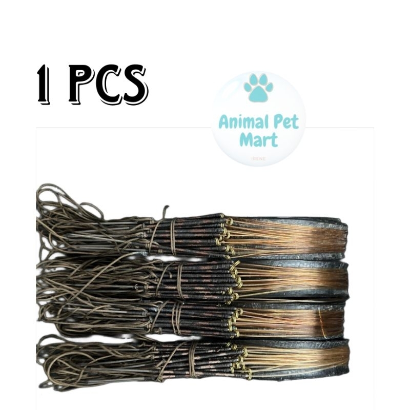 Forest Chicken Snares, Racikayamforest, Forest Chicken Fighting, Forest ...