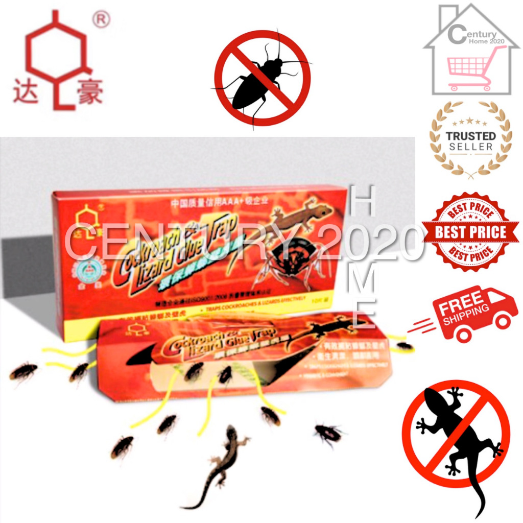 DAHAO Lizard & Cockroach Glue Trap Efficient Hygienic Repellent ...