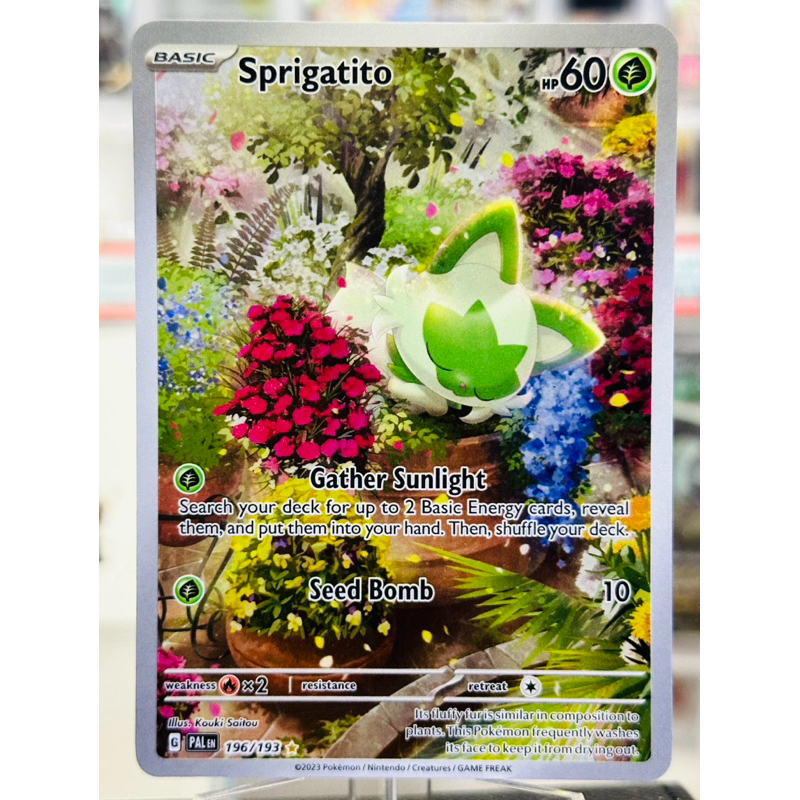 Sprigatito 196/193 - Paldea Evolved Pokemon TCG | Shopee Malaysia