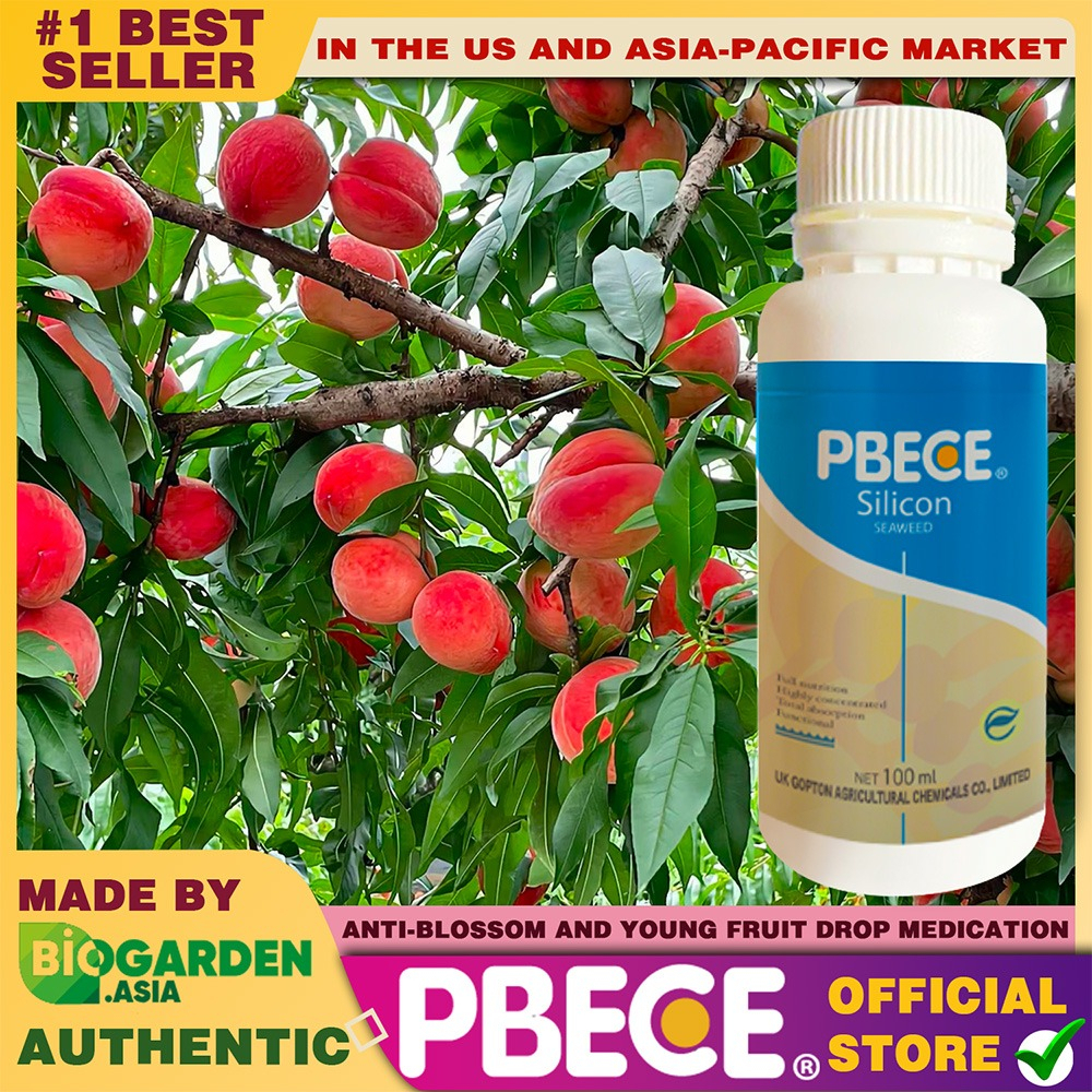 PBECE - Premium Medication for Advanced Plant Recovery and Anti-blossom ...