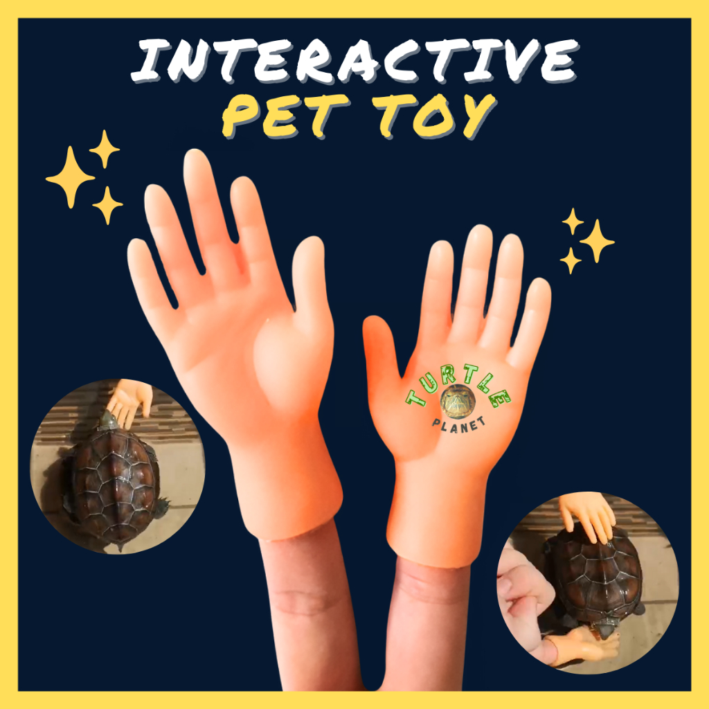 Interactive Cat Toy Pet Toys Finger Gloves for Kittens Turtle ...
