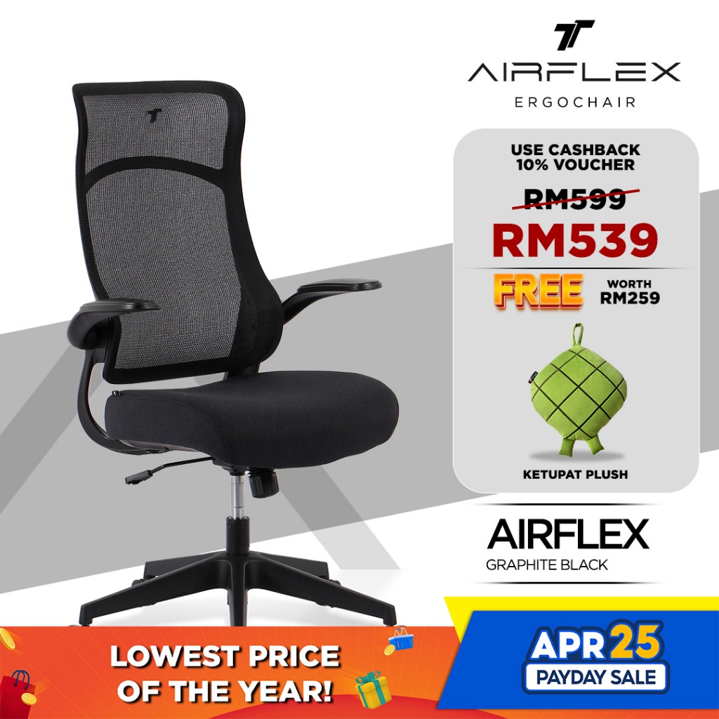 TT AIRFLEX Ergochair Mesh Office Chair Ergonomic Chair Kerusi Pejabat ...