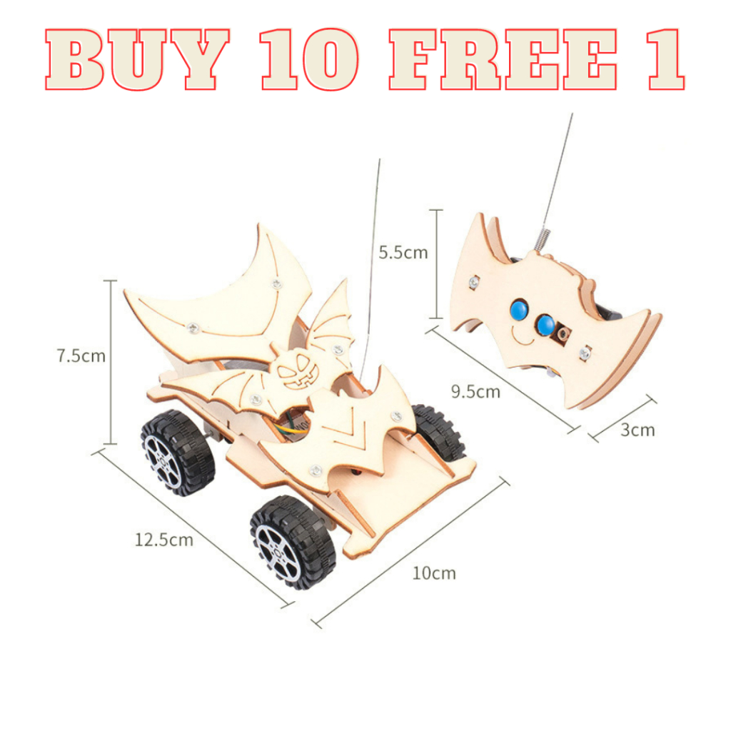 PROJECT RBT/DIY Assembled RC Racing Car Model Kit Wooden Kids Science ...