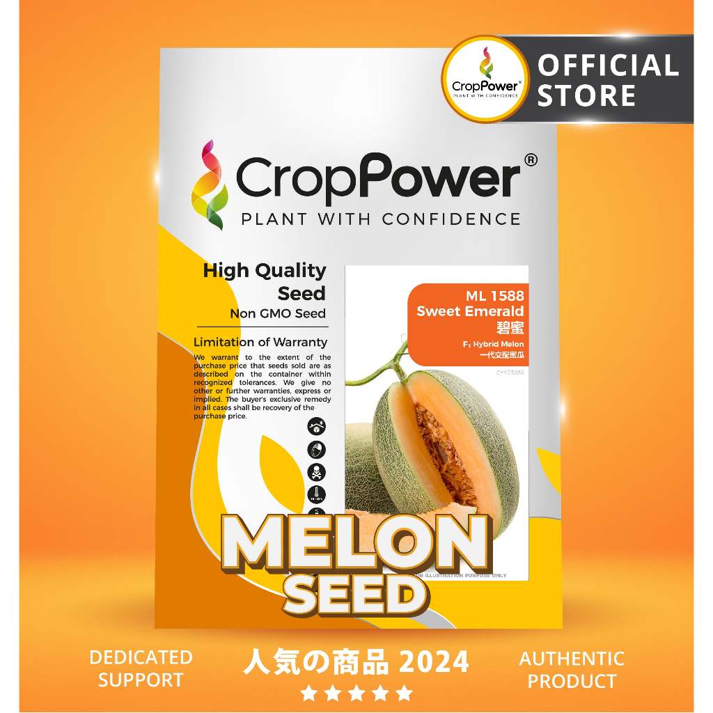 (100 SEEDS) Biji Benih Melon Sweet Emerald 碧蜜 ML1588 CROP POWER Hami ...