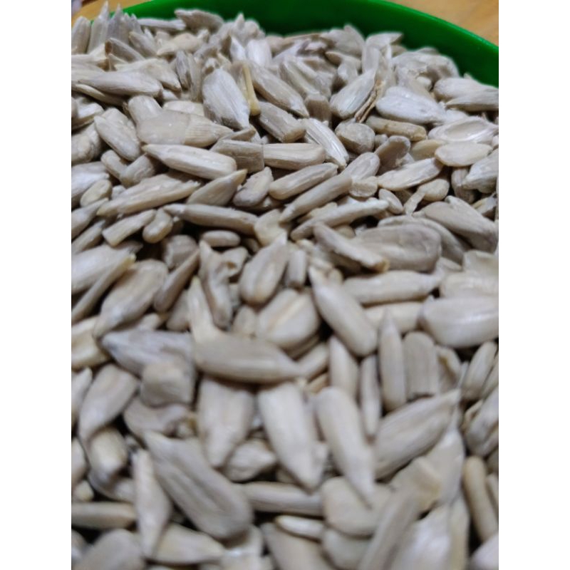 Isi kuaci raw isi padat | Shopee Malaysia