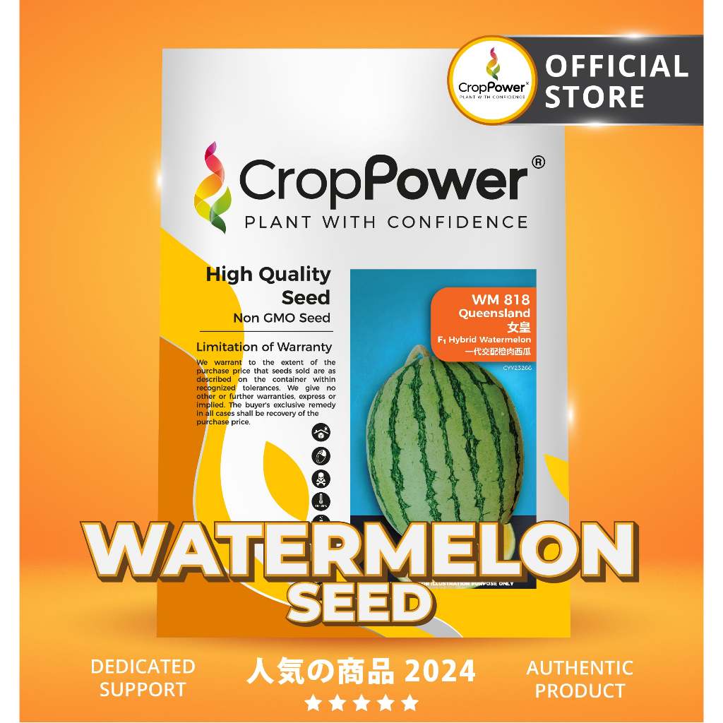 (20 GRAM) Biji Benih Tembikai Kuning Queensland 女皇 WM818 CROP POWER ...