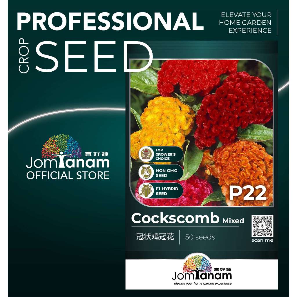 Flower Seed Cockscomb Mixed P22 JOM TANAM F1 Hybrid Benih Bunga Balung Ayam 冠状鸡冠花种子 花卉种子 Benih ...