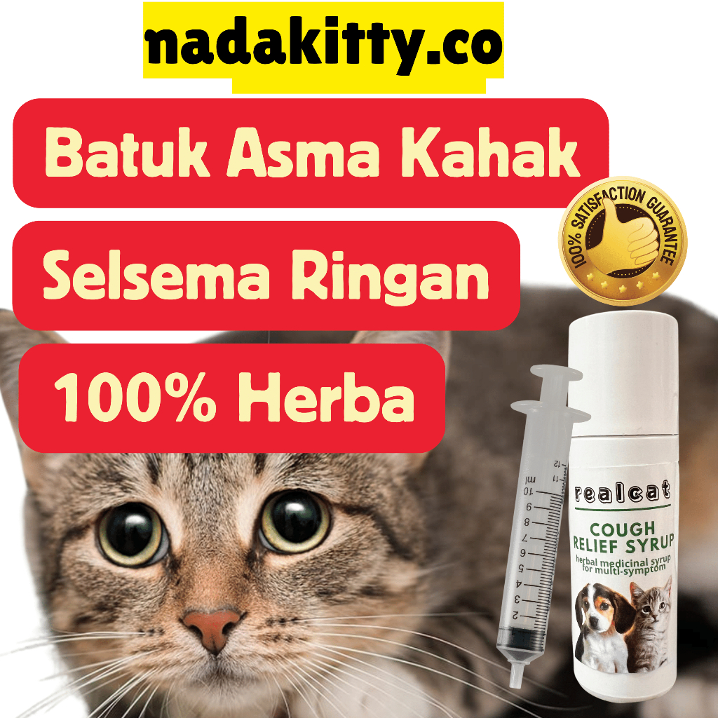 Realcat Ubat Batuk Kahak Asma Kucing Cat 30ml | Shopee Malaysia