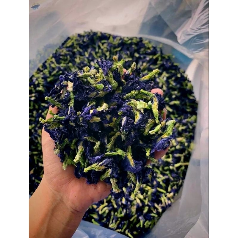 Bunga Telang Kering 100% Natural Tanpa Baja Kimia Tumbuh Semulajadi ...