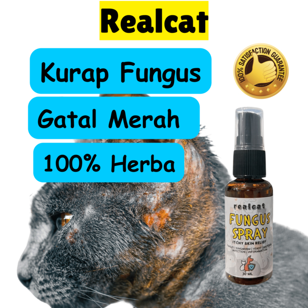 Ubat Fungus Untuk Kucing Ubat Kurap Kucing Ubat Sporo Gatal Ringworm ...