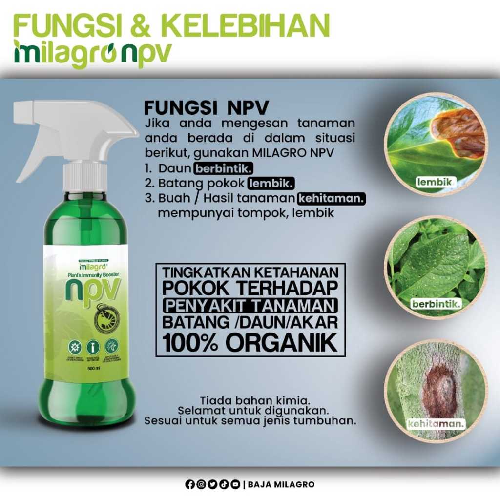 MATADO - Racun Serangga Perosak Organik Spray Tanaman Pokok Bunga Bena ...