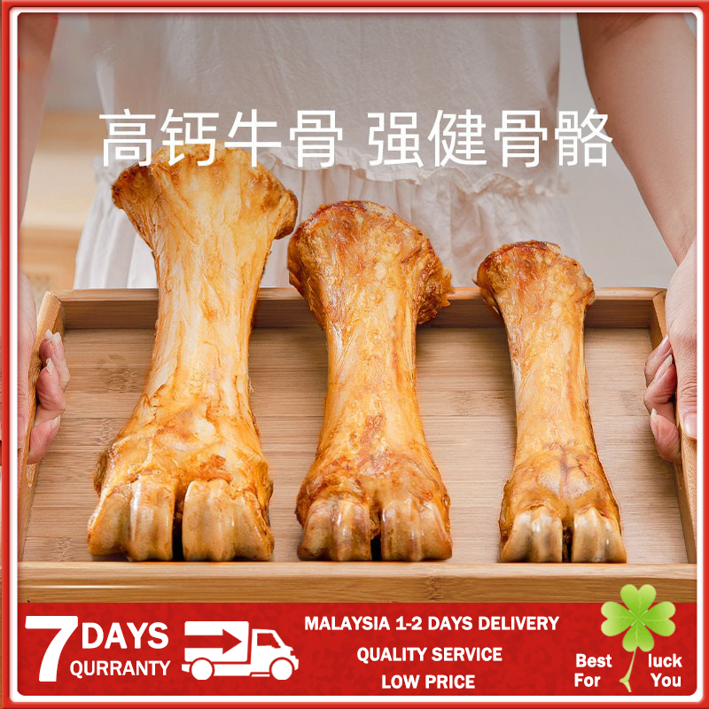 Premium Dog Molar Beef bone stick and Beef Kneecap Teeth Cleaning ...