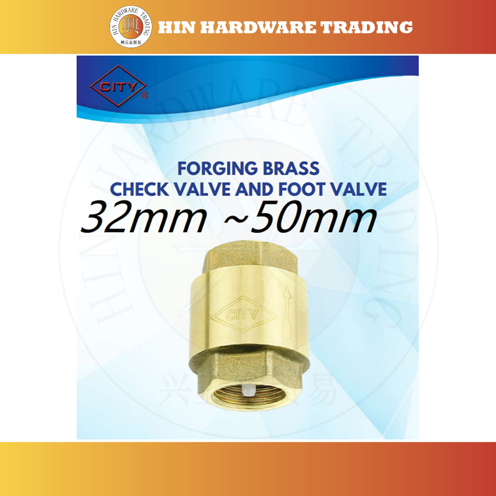 CITY 25mm (1") ~ 50mm (2") HEAVY DUTY BRASS SPRING CHECK VALVE | Shopee ...