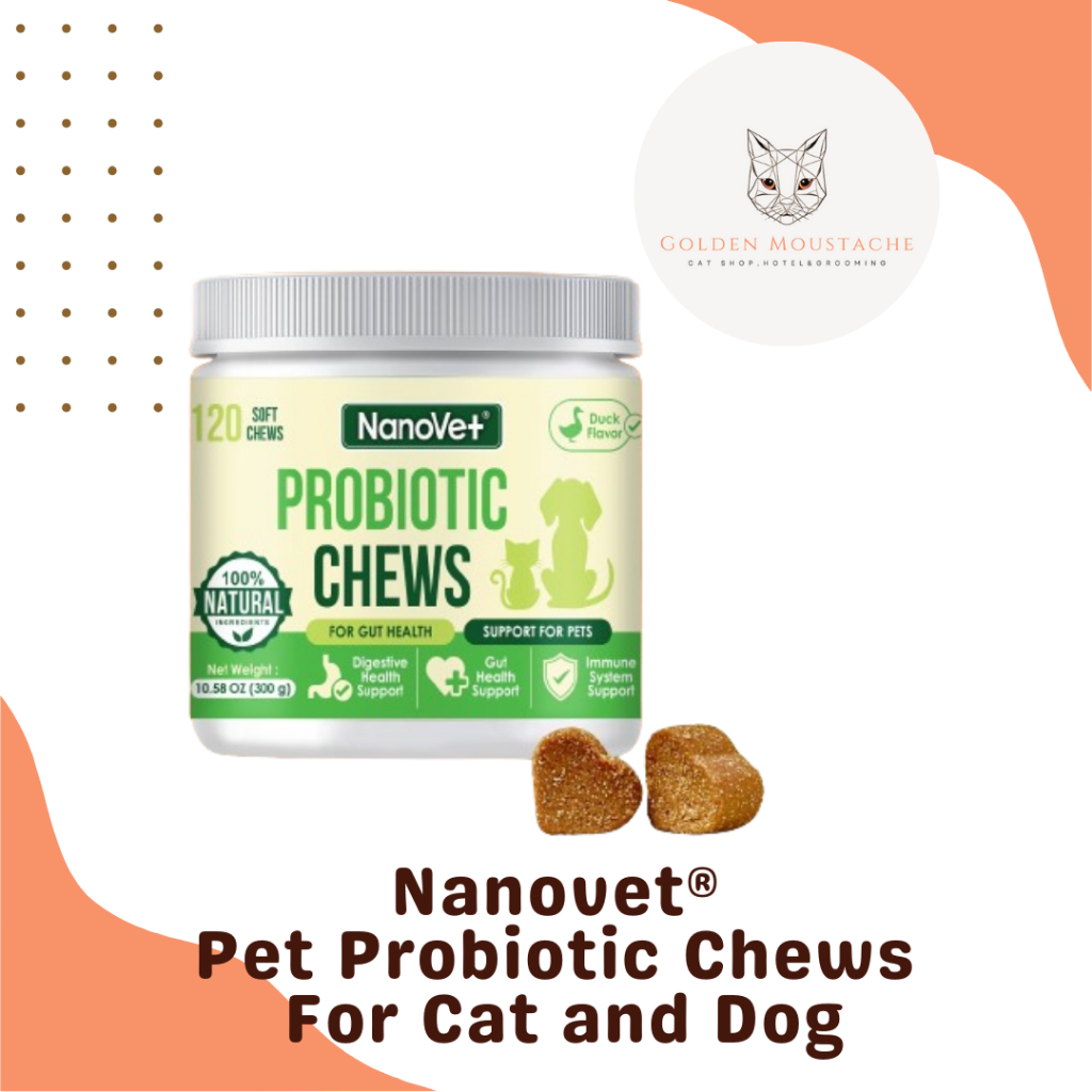 Nanovet® Pet Probiotic Chews For Cat and Dog (120 Chews) | Shopee Malaysia