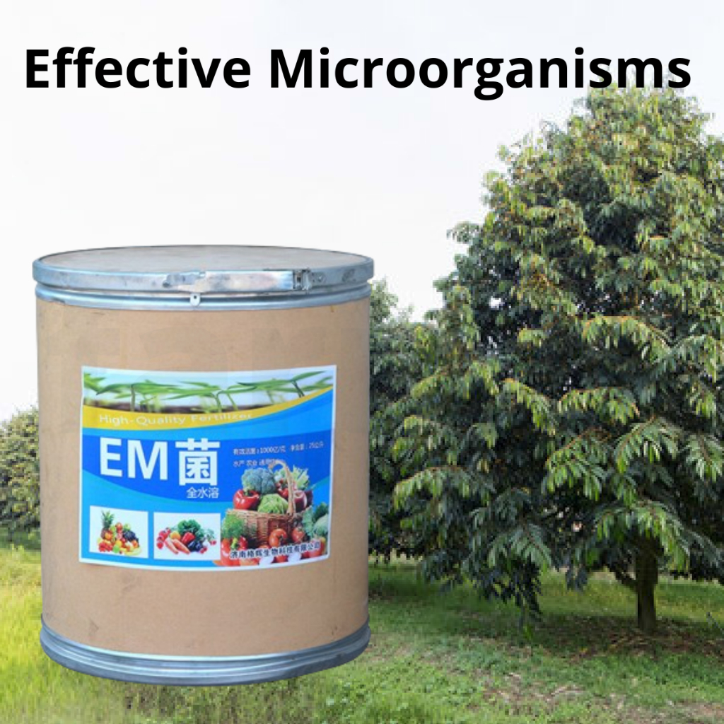 Effective Microorganisms EM菌 发酵菌EM菌分解EM菌 Effective Microorganisms ...