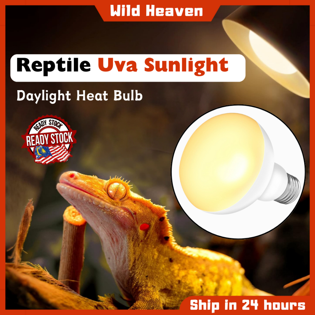 Tortoise Uva Basking Bulb Heating Light Lamp Reptile Heat Daylight Temperature Lampu Kura Kura ...
