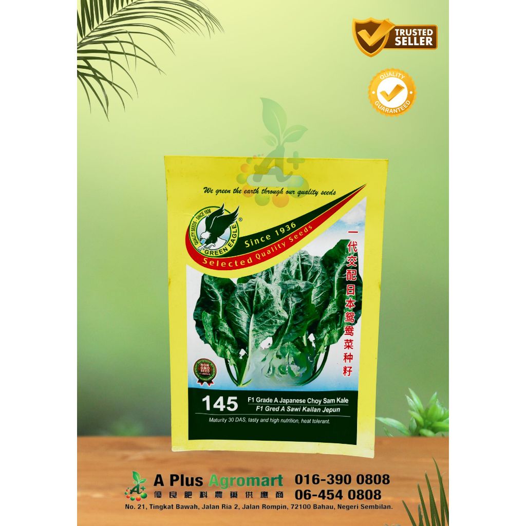 Benih 145 F1 Grade A Japanese Choy Sam Kale (1 gram) | Shopee Malaysia