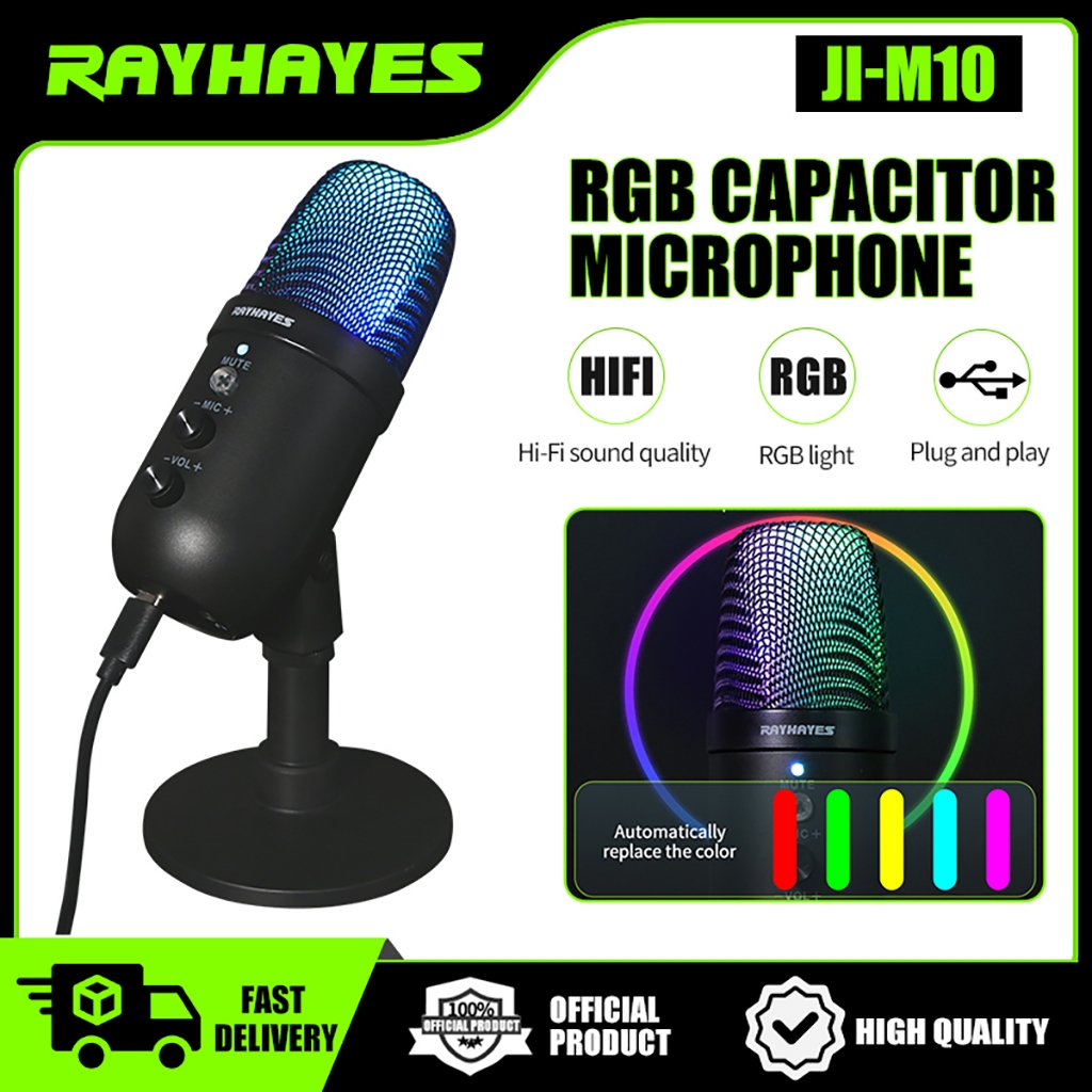 RAYHAYES USB Microphone Professional Recording Dubbing Condenser PC ...