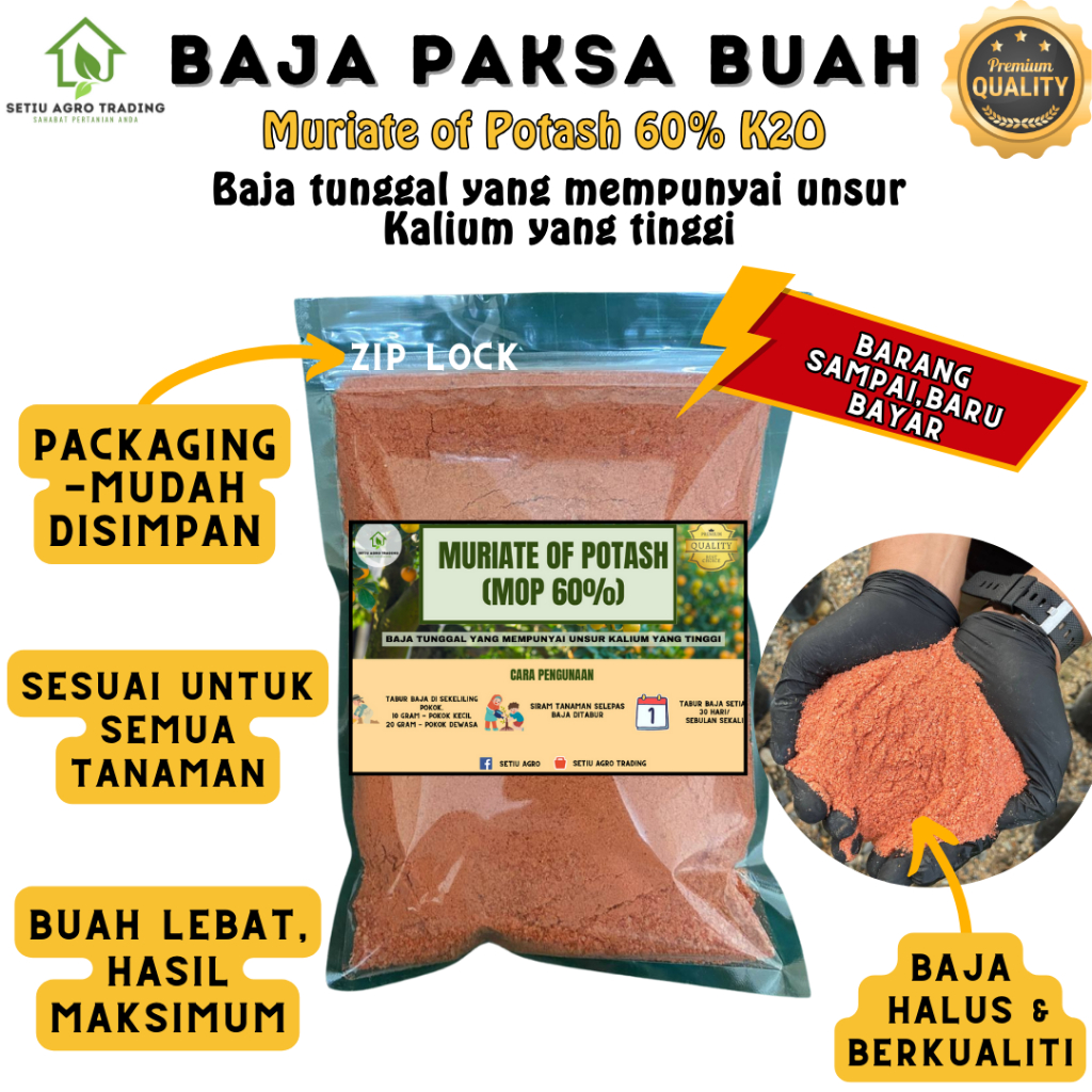 Baja Paksa Buah | Muriate of Potash (MOP) |MOP K2O 60%| Baja Buah Lebat ...