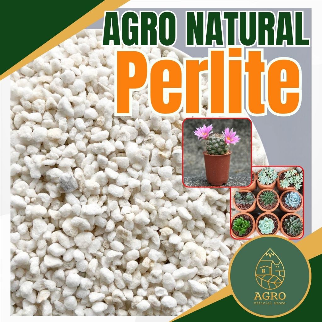 (6L) Expanded Perlite 珍珠岩 3-6mm For Cactus & Succulents Planting Soil ...