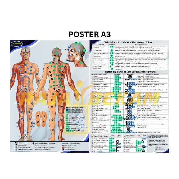 PETA TITIK BEKAM BY RAJA BEKAM MENGIKUT SENARAI PENYAKIT LOKASI TITIK TITIK SUNNAH NABI | Shopee ...