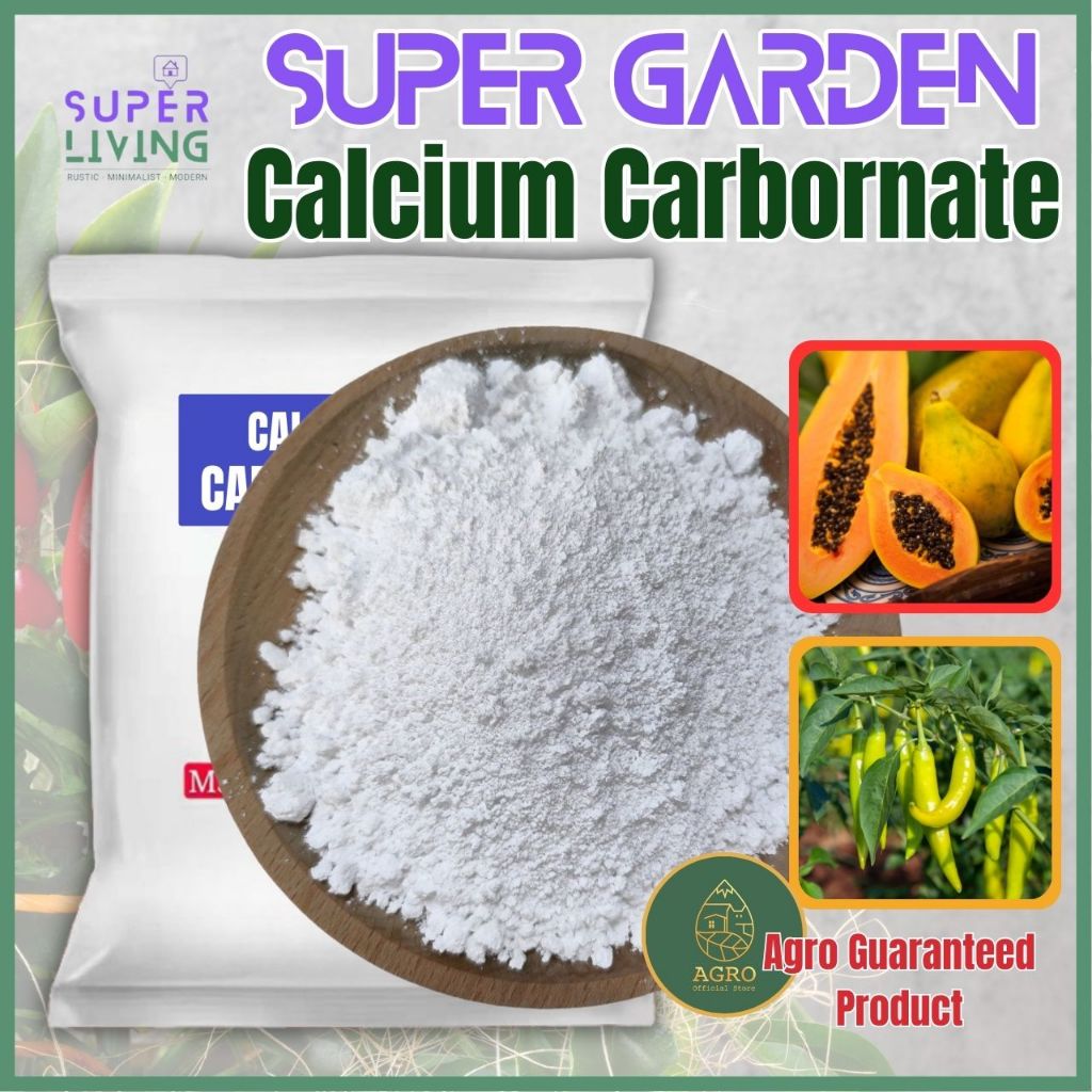 Super Calcium Carbonate Chalk CaCO3 Agriculture Lime Kapur Sirih Raw ...