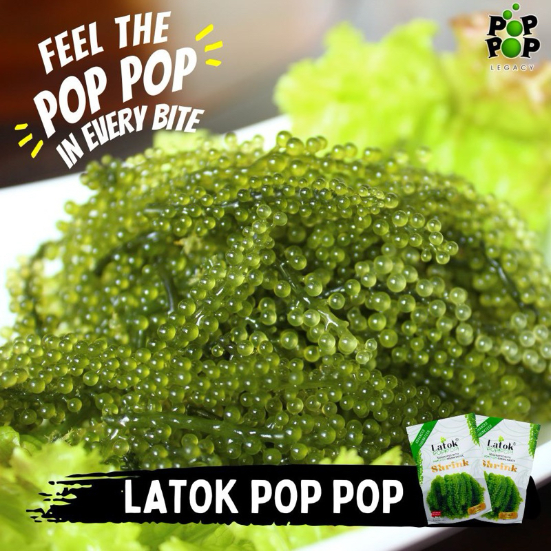 latok shrink salad fresh | Shopee Malaysia