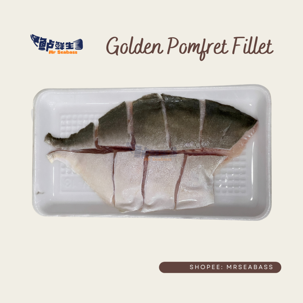 Golden Pomfret Fillet (Slice) 金鲳鱼鱼片（去骨切片）Filet Ikan Bawal Emas (Slice ...