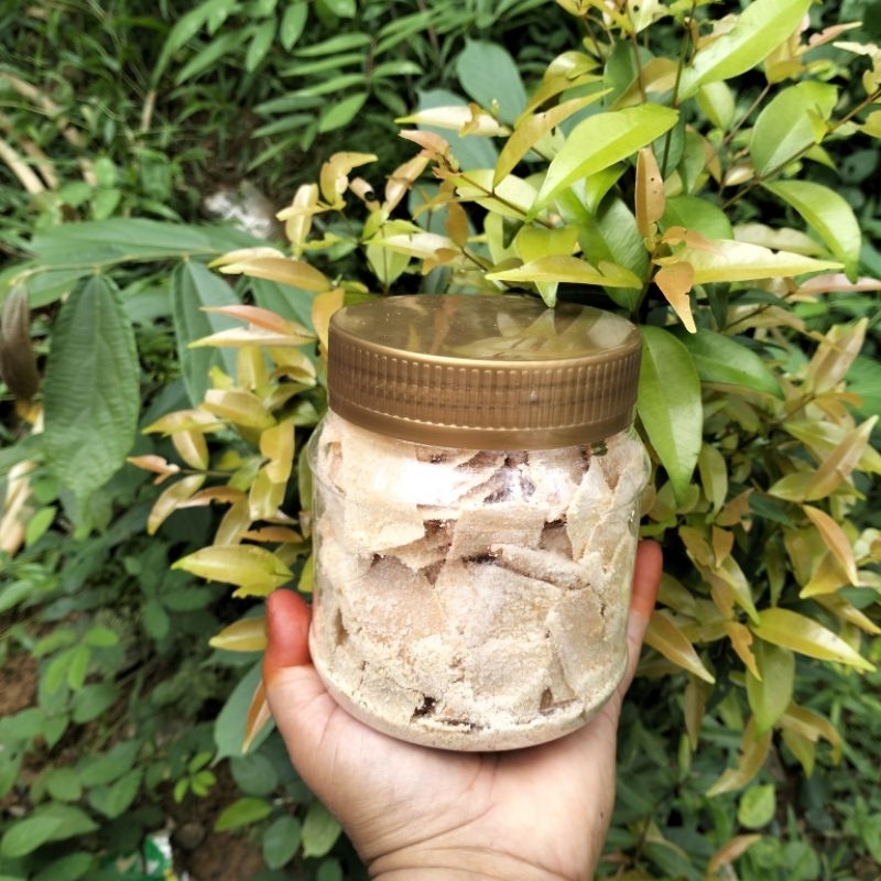 popia nestum susu homemade | Shopee Malaysia