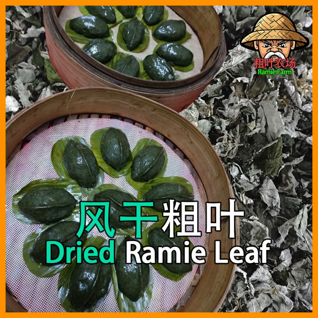 【Ramie Farm 粗叶农场】风干粗叶 厝叶 苎叶 苎麻叶10g Dried Ramie Leaf Daun Rami Kering 客家 ...