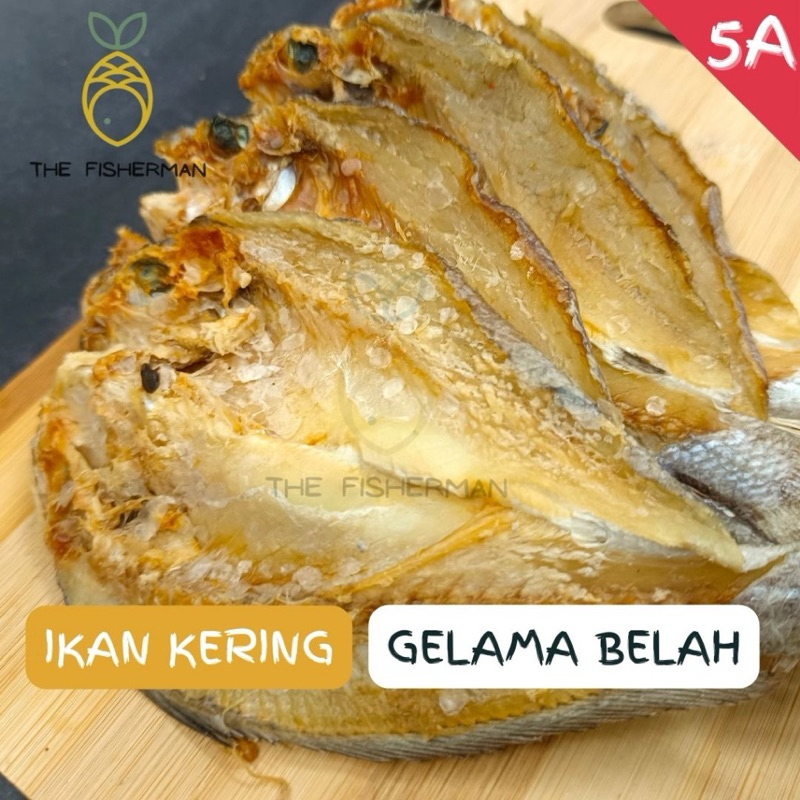 Ikan Masin Gelama Belah 1kg Ikan Kering Gelama Belah Ikan Gelama Bekok ...