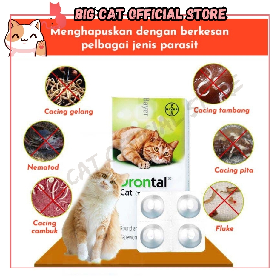 Big Cat Drontal Cat Tasty Deworm Tablet /Ubat Cacing Kucing Tablet ...