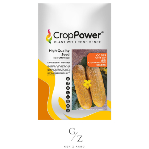 (150 seeds / 500 seeds / 1000 seeds) Crop Power OC 575 Gold Bar f1 ...