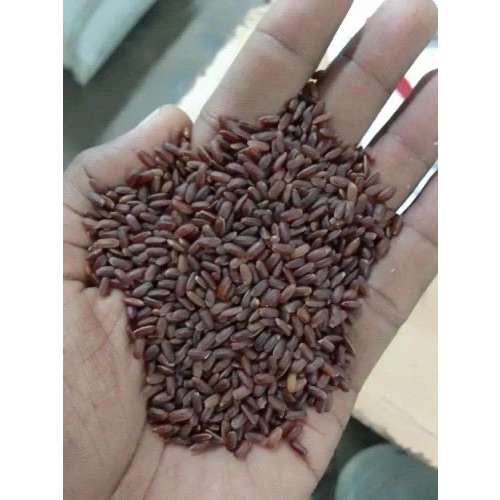 kattuyanam rice kattudai Oonan Kaatu yanam kaikuthal brown rice kattu ...