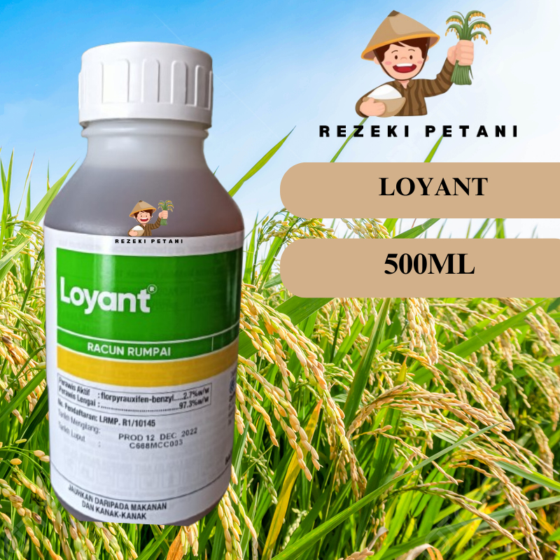 [ORIGINAL] 500ml LOYANT DOW RACUN RUMPAI PADI PASCA CAMBAH (SAMBAU ...