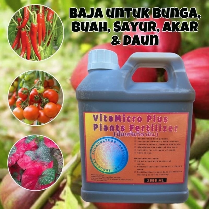 [2 Liter] Baja Organic/Baja Paksa/Micro/Baja Keladi,Daun,Akar,Buah ...