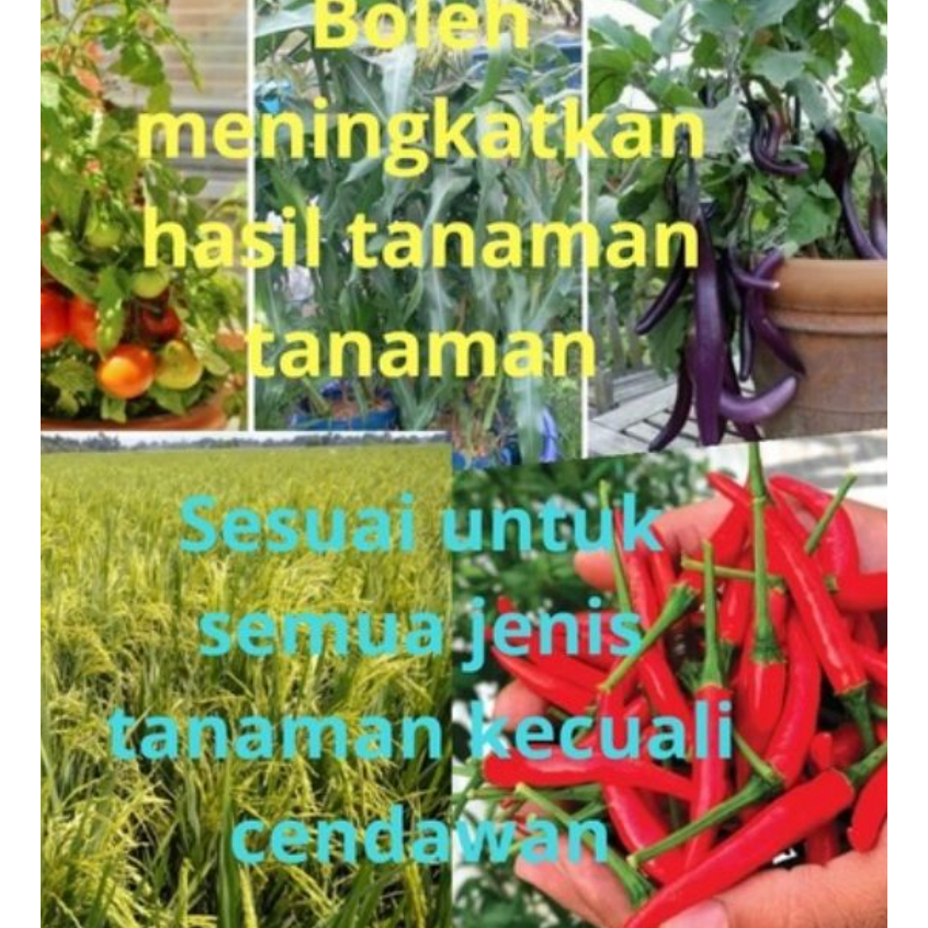 PROBIO Ubat Kulat Bio Formula – Pengawal dan Rawat Pokok dengan ...