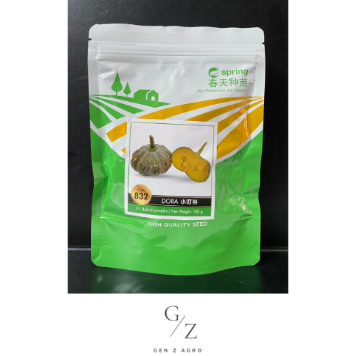 (20g / 50g / 100g) Spring Seeds 832 Dora F1 Hybrid Pumpkin (Macam ...
